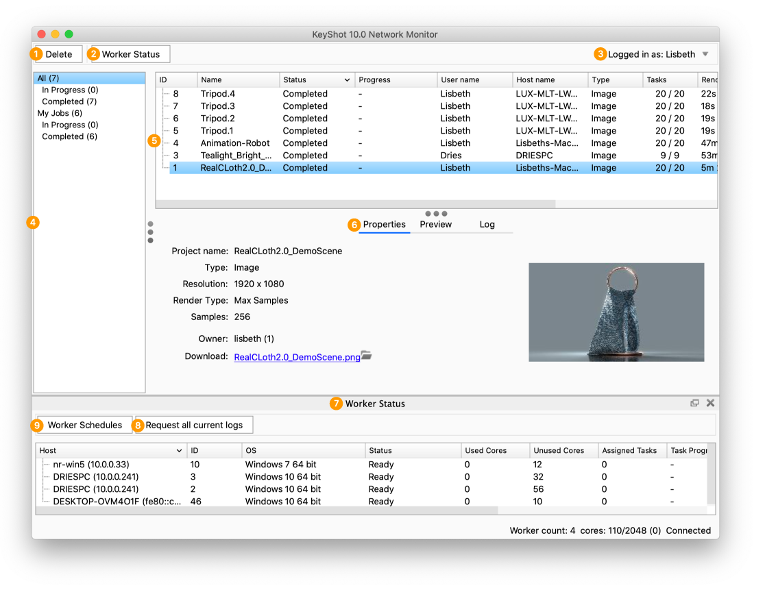 Network Monitor - KeyShot 11 Manual